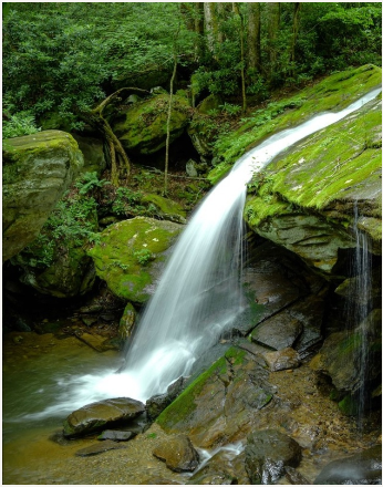 Alysha: Waterfall | The Roasted Bookery | Independent Bookstore & Café ...