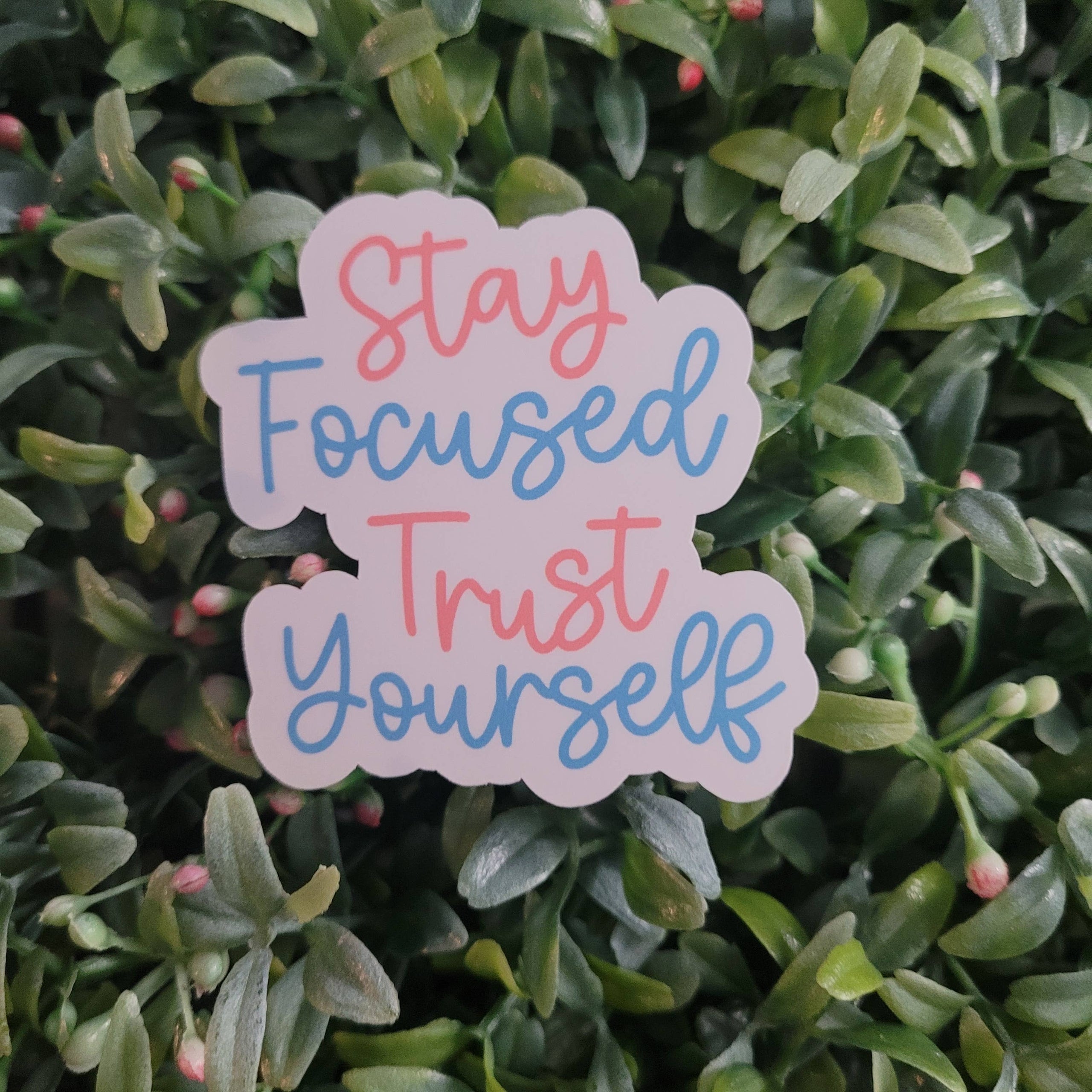 Self Care Tribe - Stay Focused Sticker | The Roasted Bookery ...